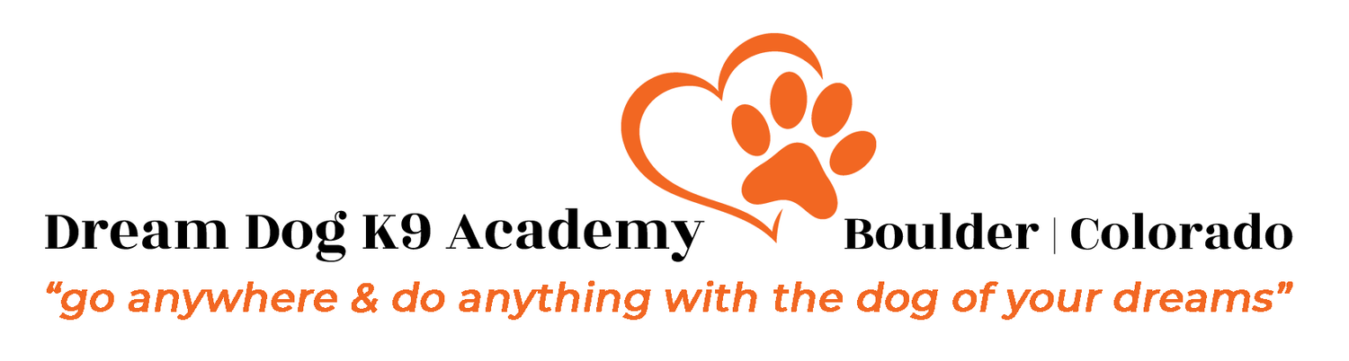 Dream Dog K9 Academy | Boulder, Colorado, USA