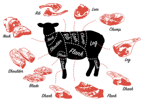 Lamb Cuts Chart — Good Carnivore