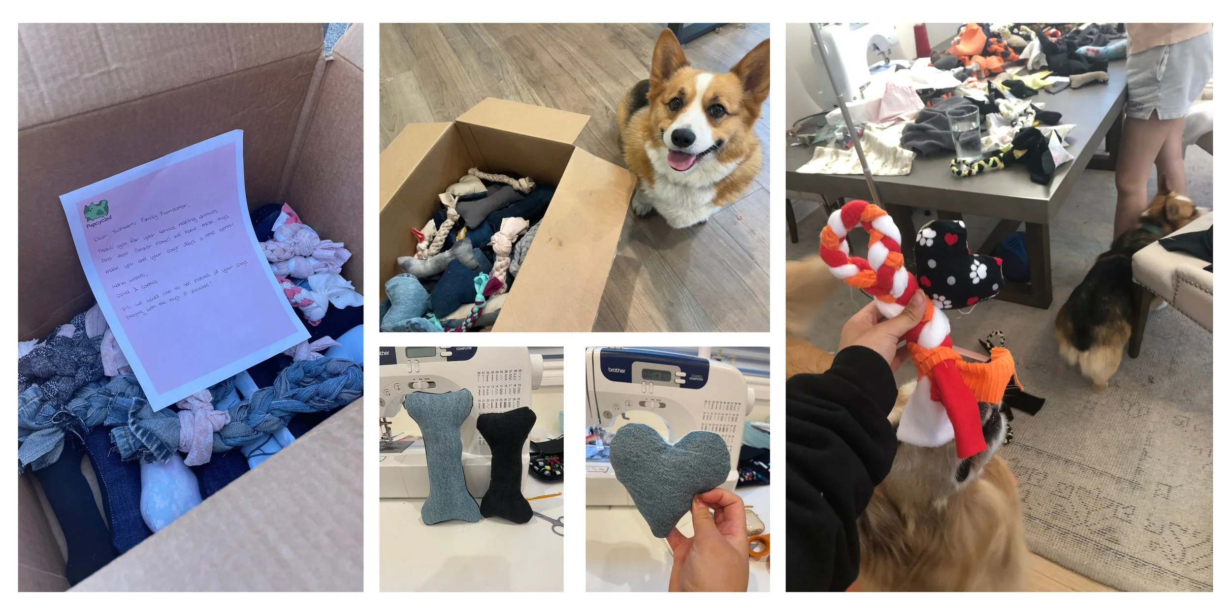 Benefits of Upcycled Dog Toys — Pupcycled