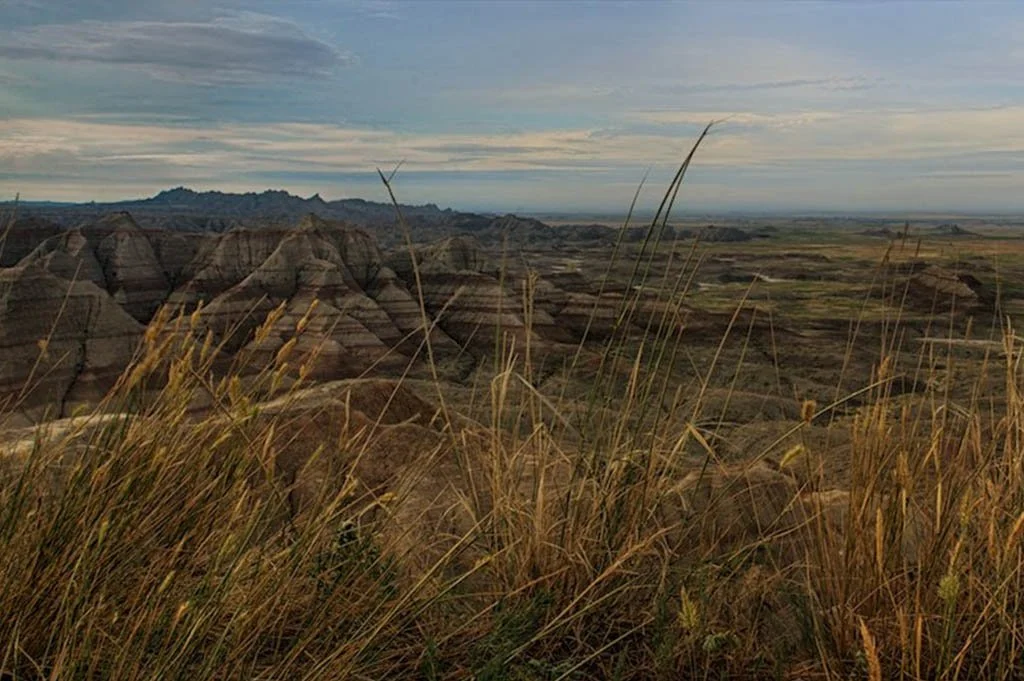 An Interview with South Dakota Poet Laureate Lee Ann Roripaugh — South ...