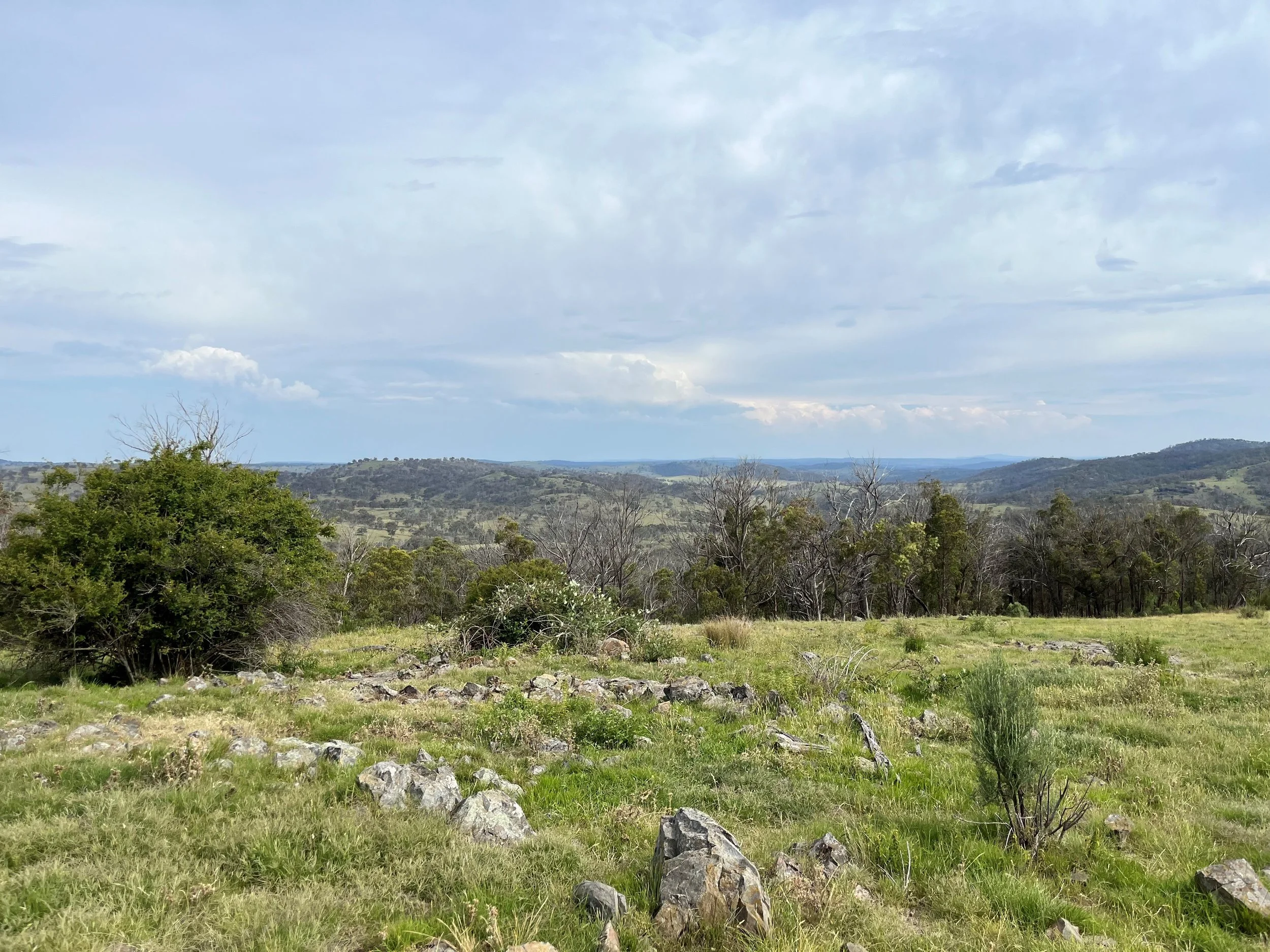 Northern Tablelands Wind Farm — Origin New England