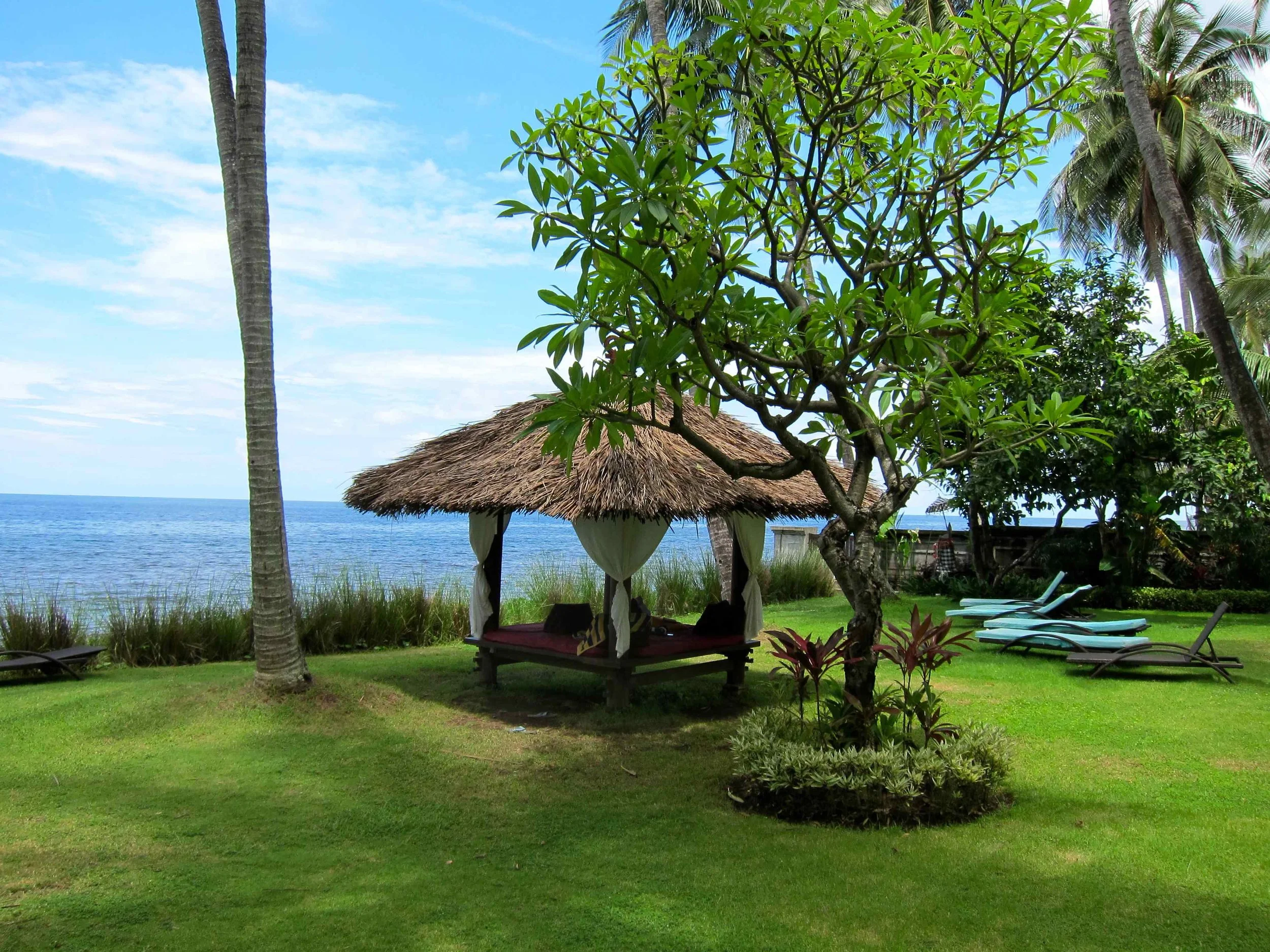 Shamanic Knowledge Series — The Foundation for Shamanic Studies Asia