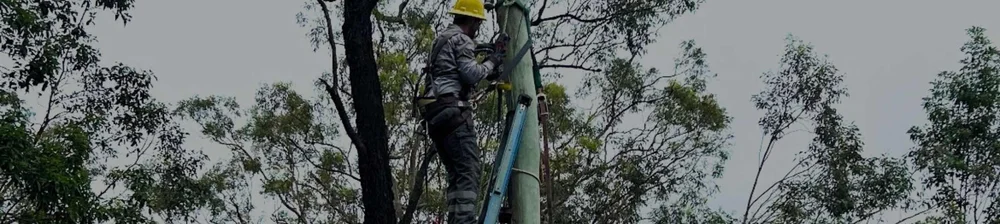 Temporary Power Poles — Endeavour Power