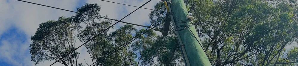 Power Pole Replacement — Endeavour Power