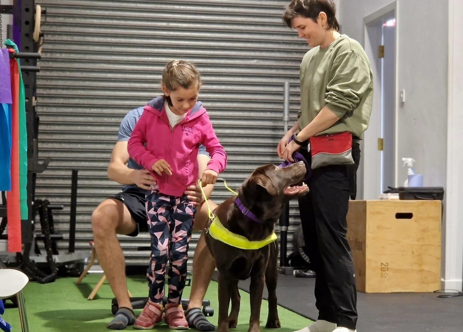 How Our Dogs Help — Irish Dogs for The Disabled