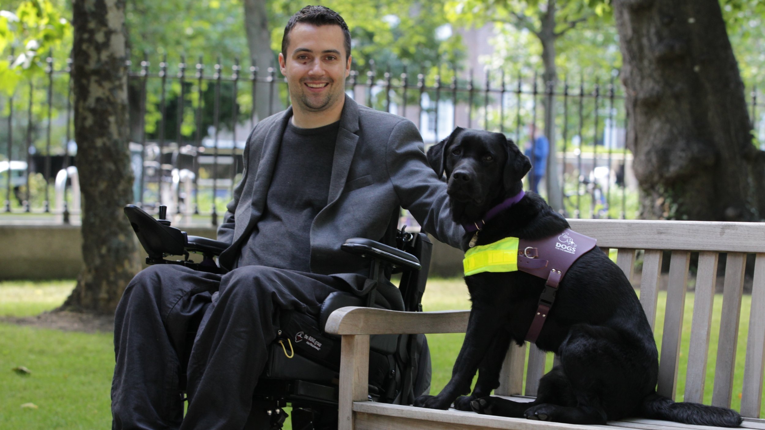 donate-sponsor — Irish Dogs for The Disabled