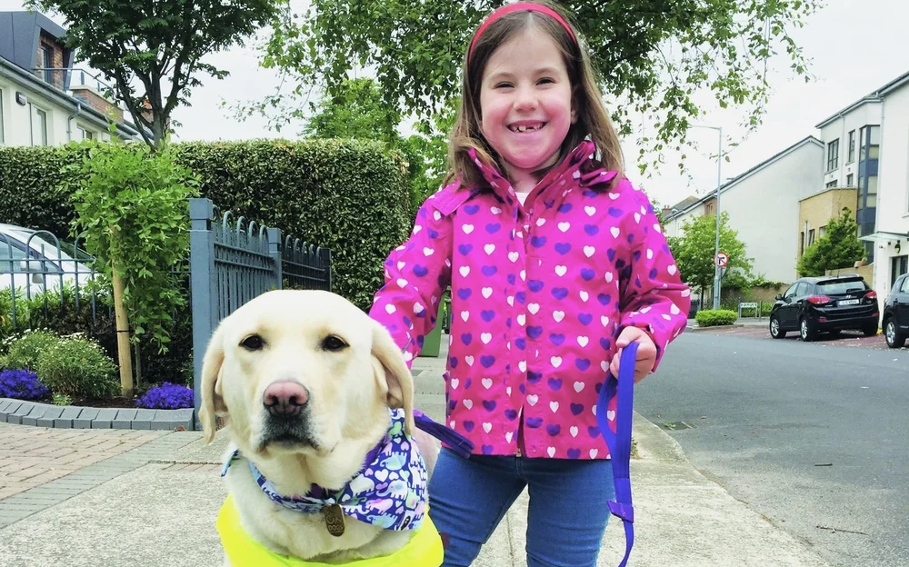 Mobility Assistance Dogs — Irish Dogs for The Disabled