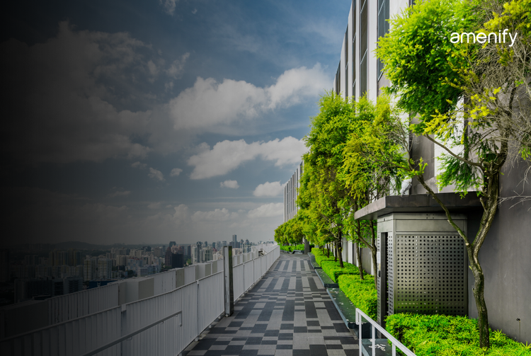 Low-Cost Simple Rooftop Design Ideas for Your Terrace — Amenify India
