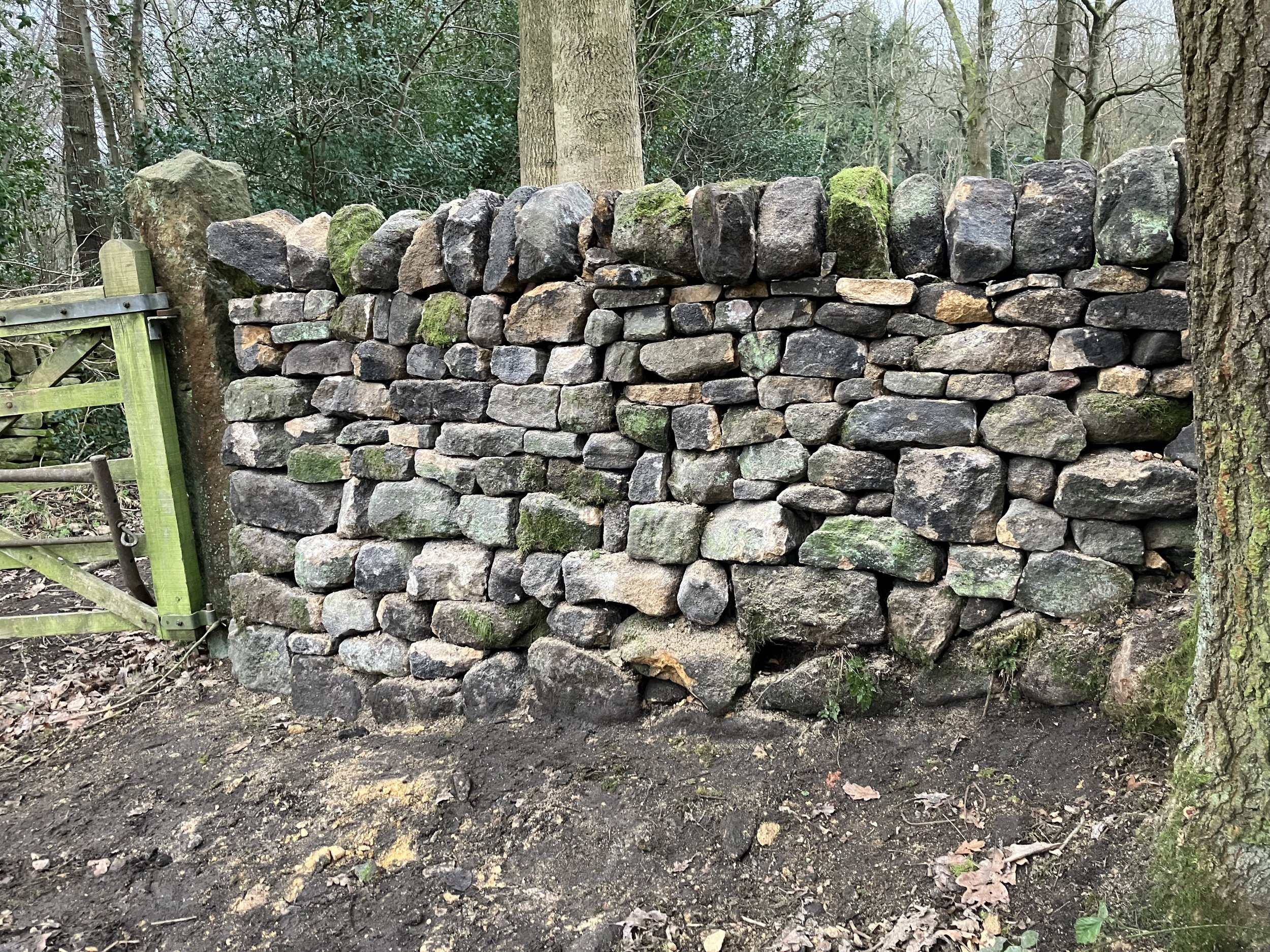 Silvanus Walling