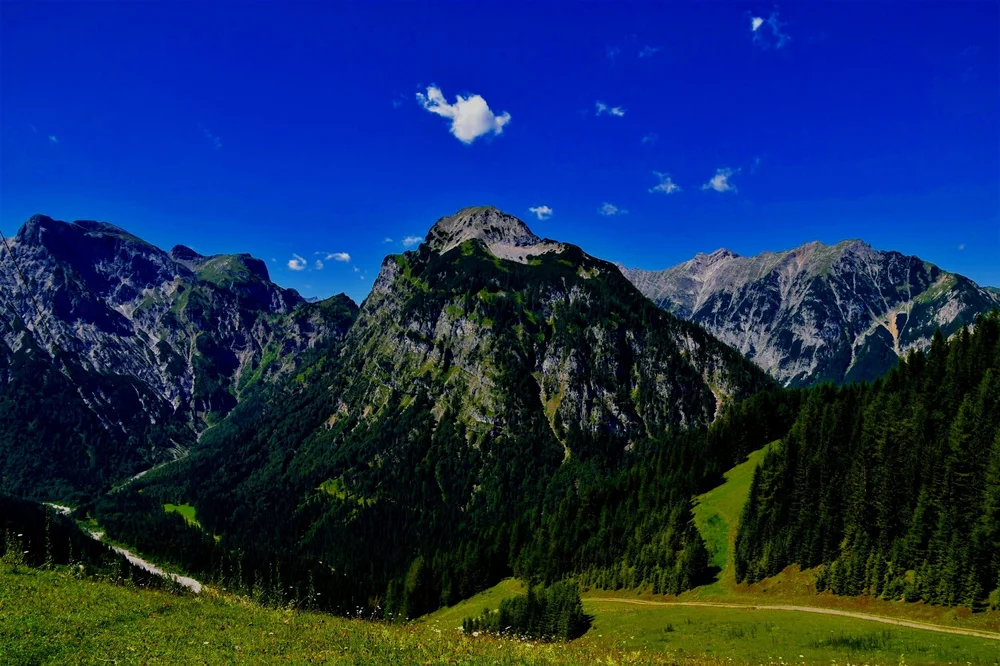 Sustainability Academy