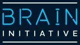 About — International Brain Initiative