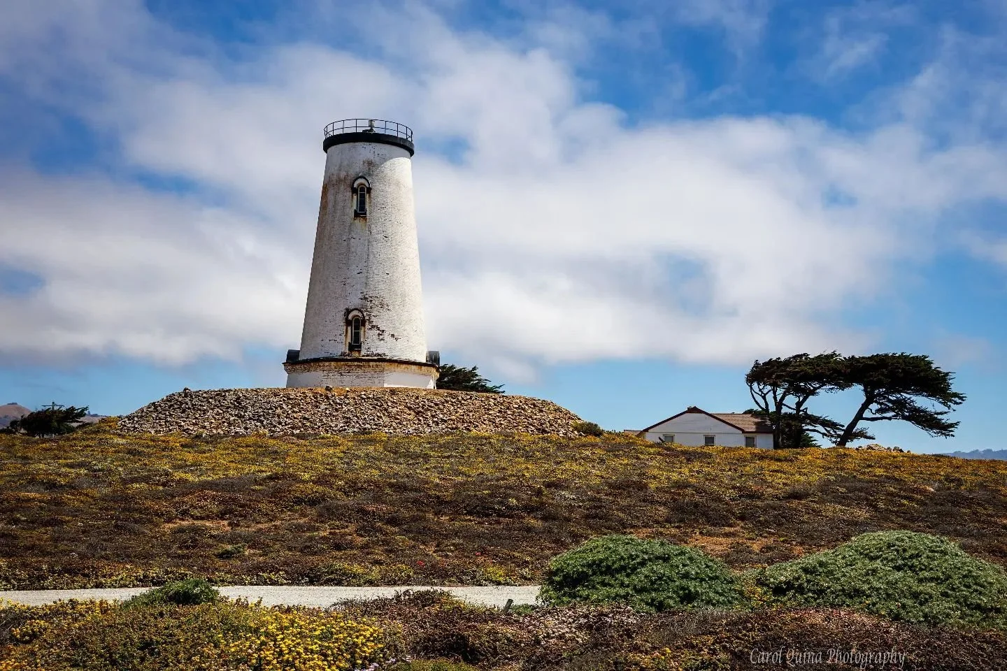 Explore Big Sur — Ragged Point Inn