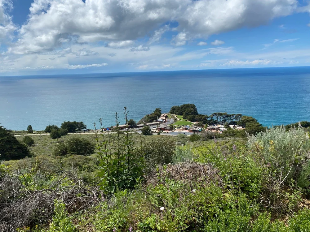 Hiking in Big Sur — Ragged Point Inn