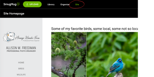 Using SmugMug — Arrange Wander Focus