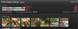 Using SmugMug — Arrange Wander Focus
