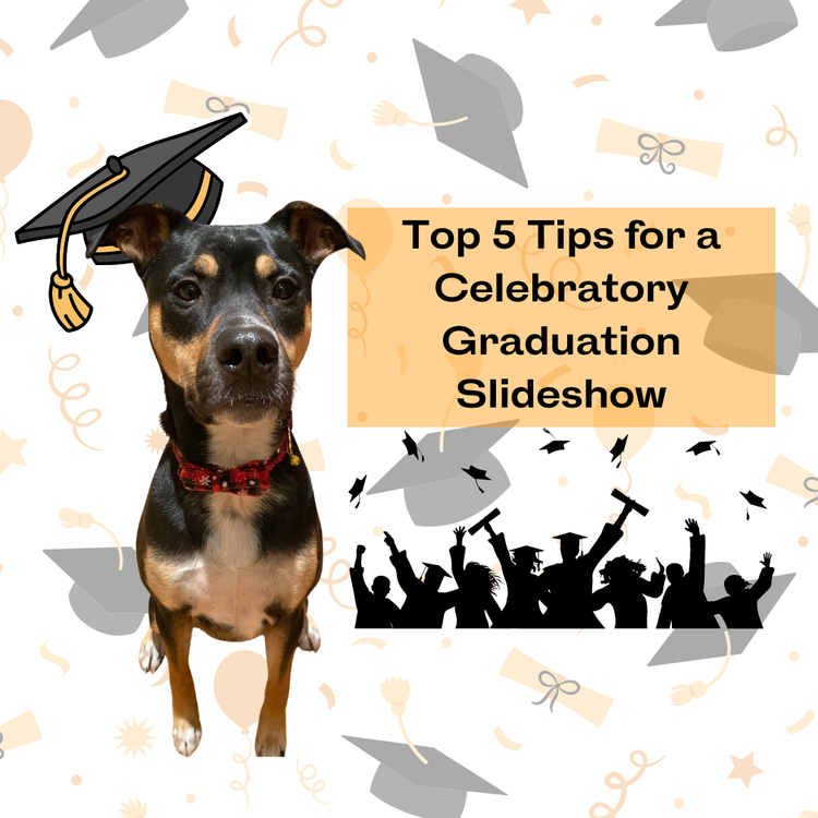 Top 5 Tips for a Celebratory Graduation Slideshow — Arrange Wander Focus