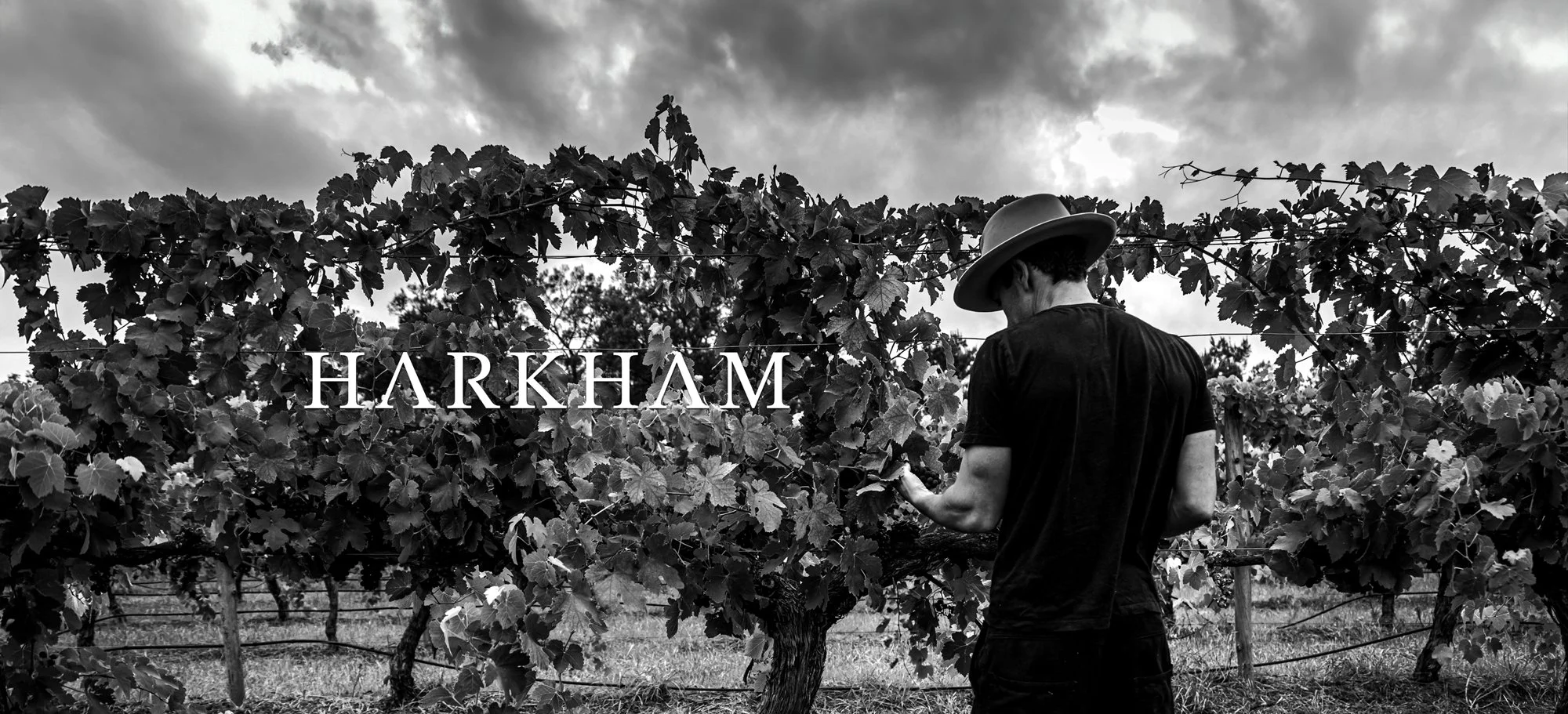 HARKHAM WINERY HUNTER VALLEY