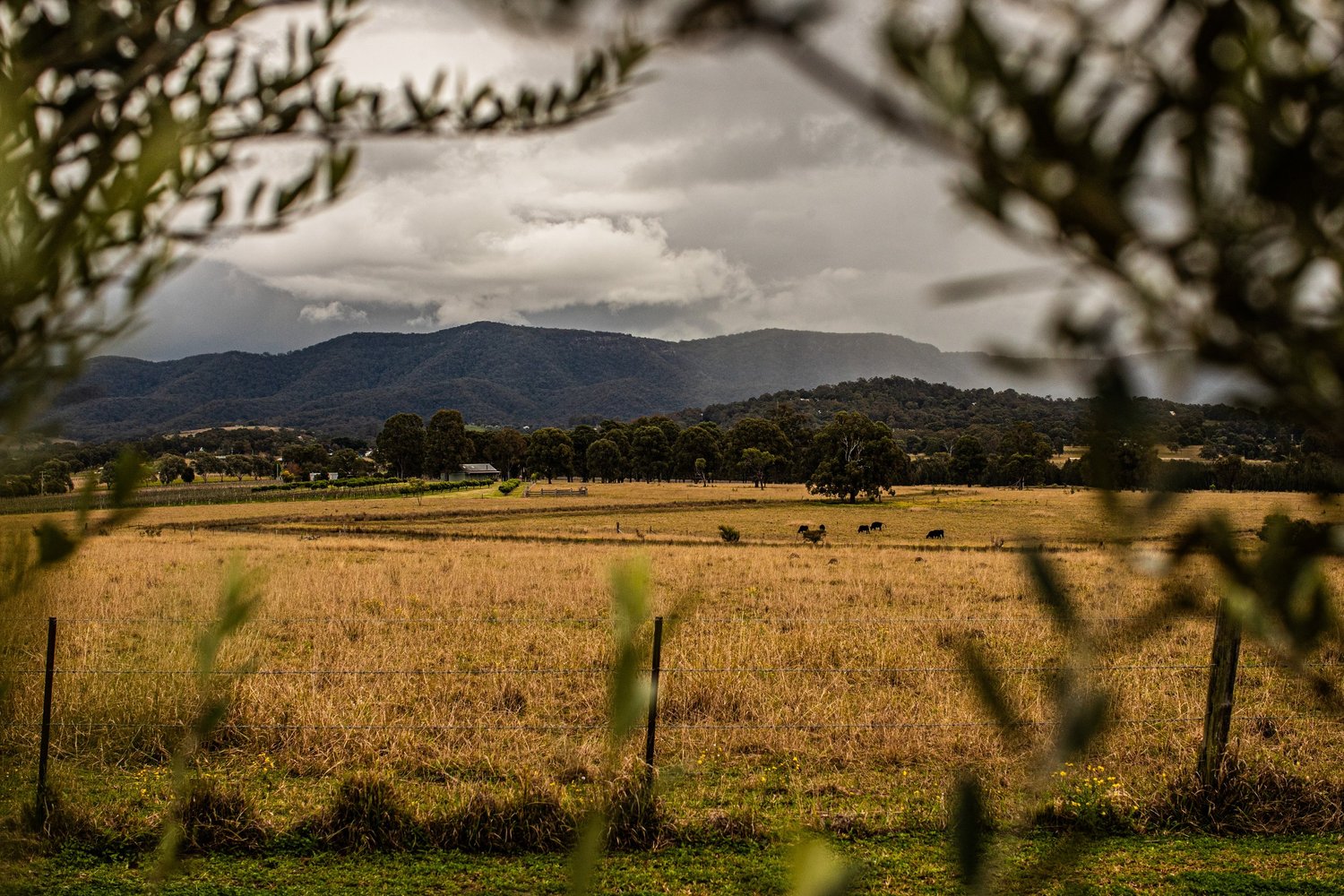 %i — HARKHAM WINE BAR