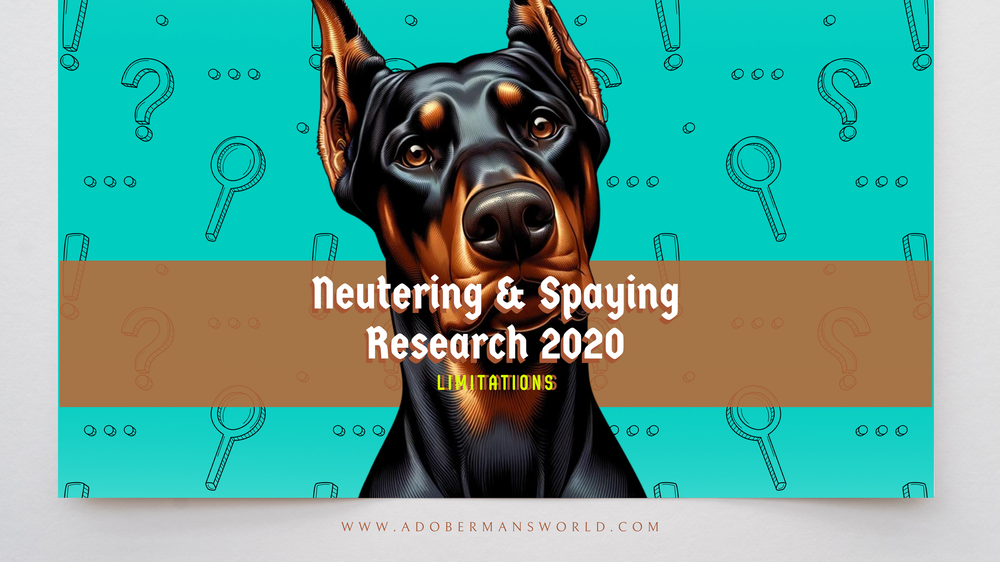 Dobermans and Neutering Recommendations Part II: Some Considerations ...