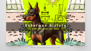History of the Doberman Pinscher — A Doberman's World
