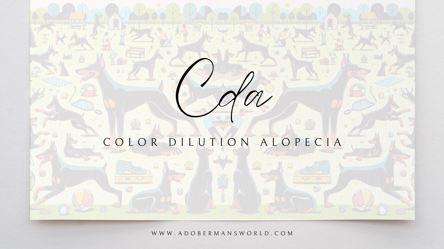Understanding Color Dilution Alopecia in Dobermans — A Doberman's World