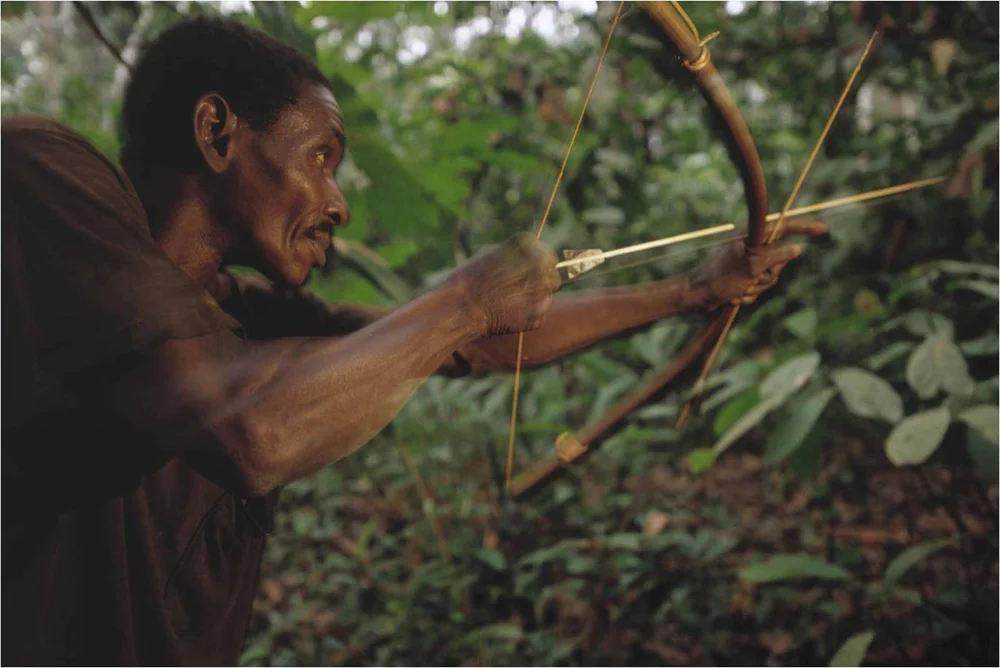 Threats — BONOBO