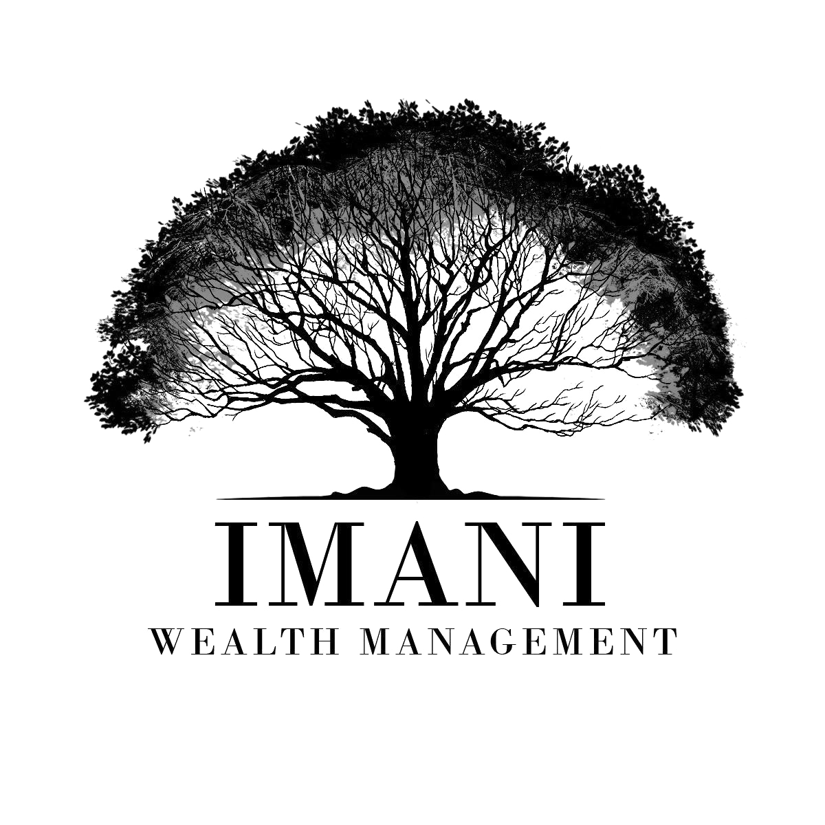 Imani Wealth Management Ltd