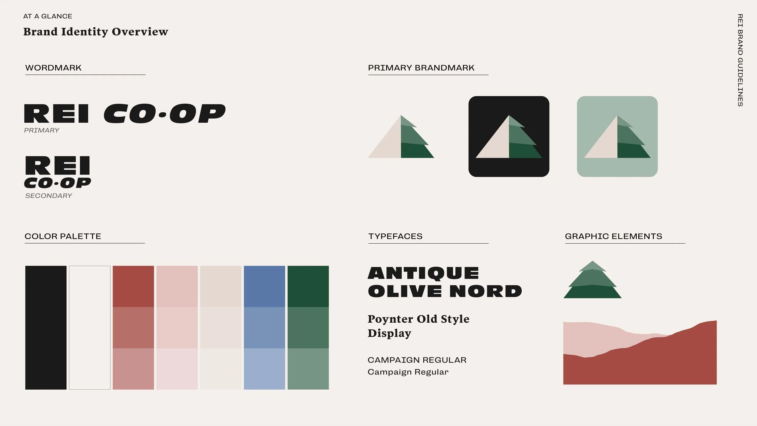REI Case Study — Caitlin Murphy