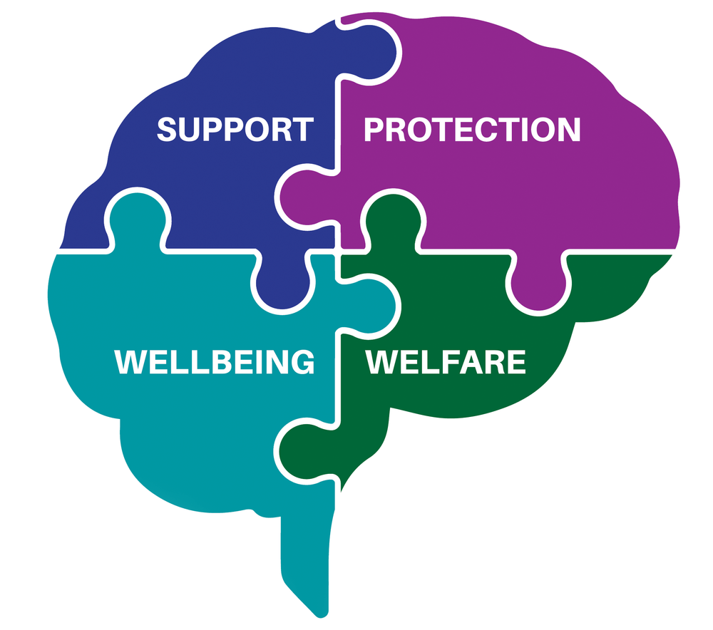 Trim Training & Consultancy LTD | Enhance Employee Wellbeing