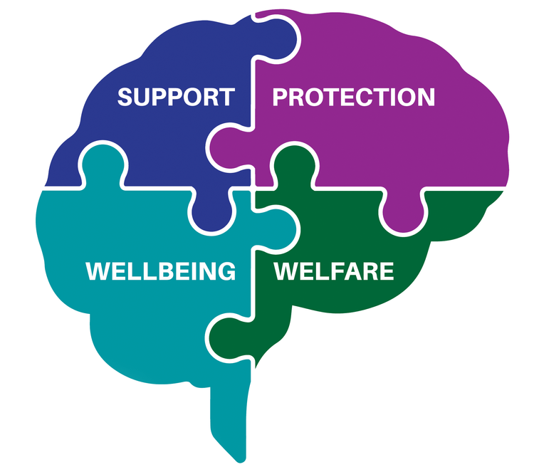 Trim Training & Consultancy LTD