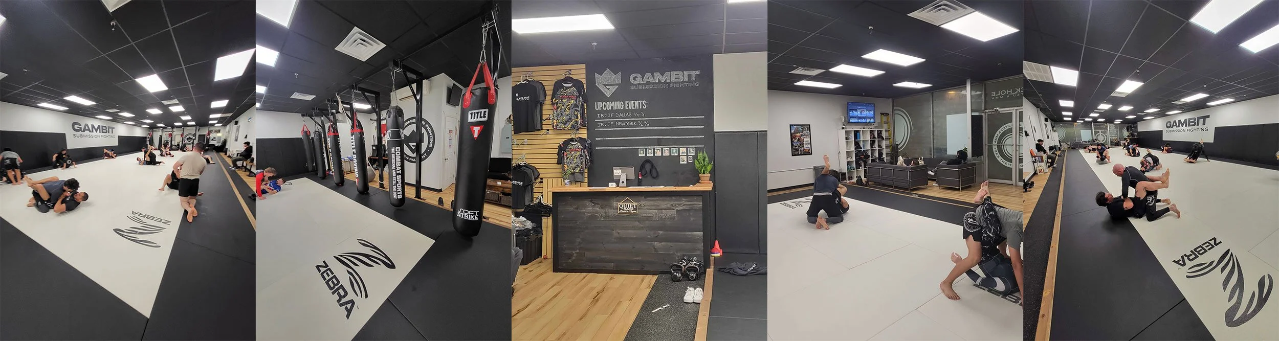 Gambit Submission Fighting