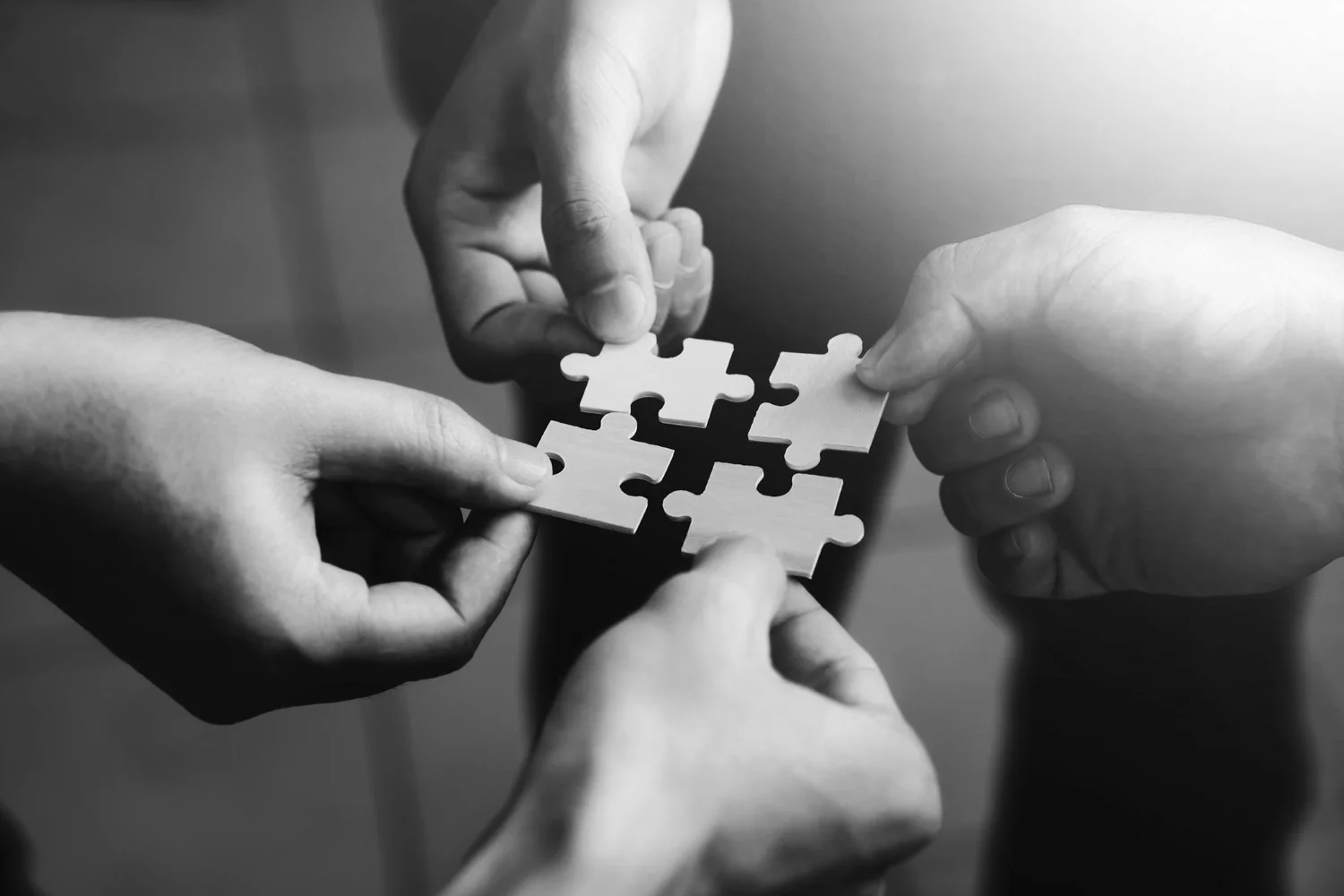 Our collaborators — Whitlam Co. - Anna Whitlam