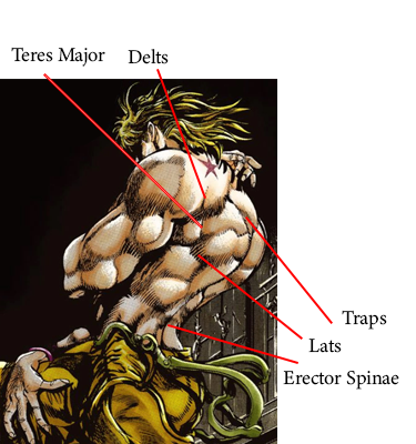 How to get the Dio Back: Jojo’s Bizarre Adventure and Bodybuilding ...