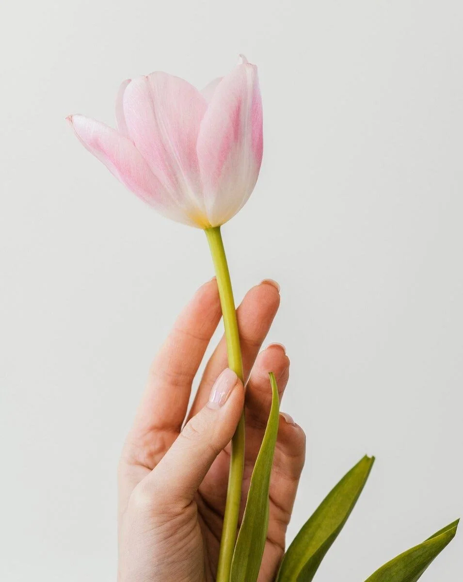 Seattle Gynecologists (Obgyn) — Northwest Women's HealthCare