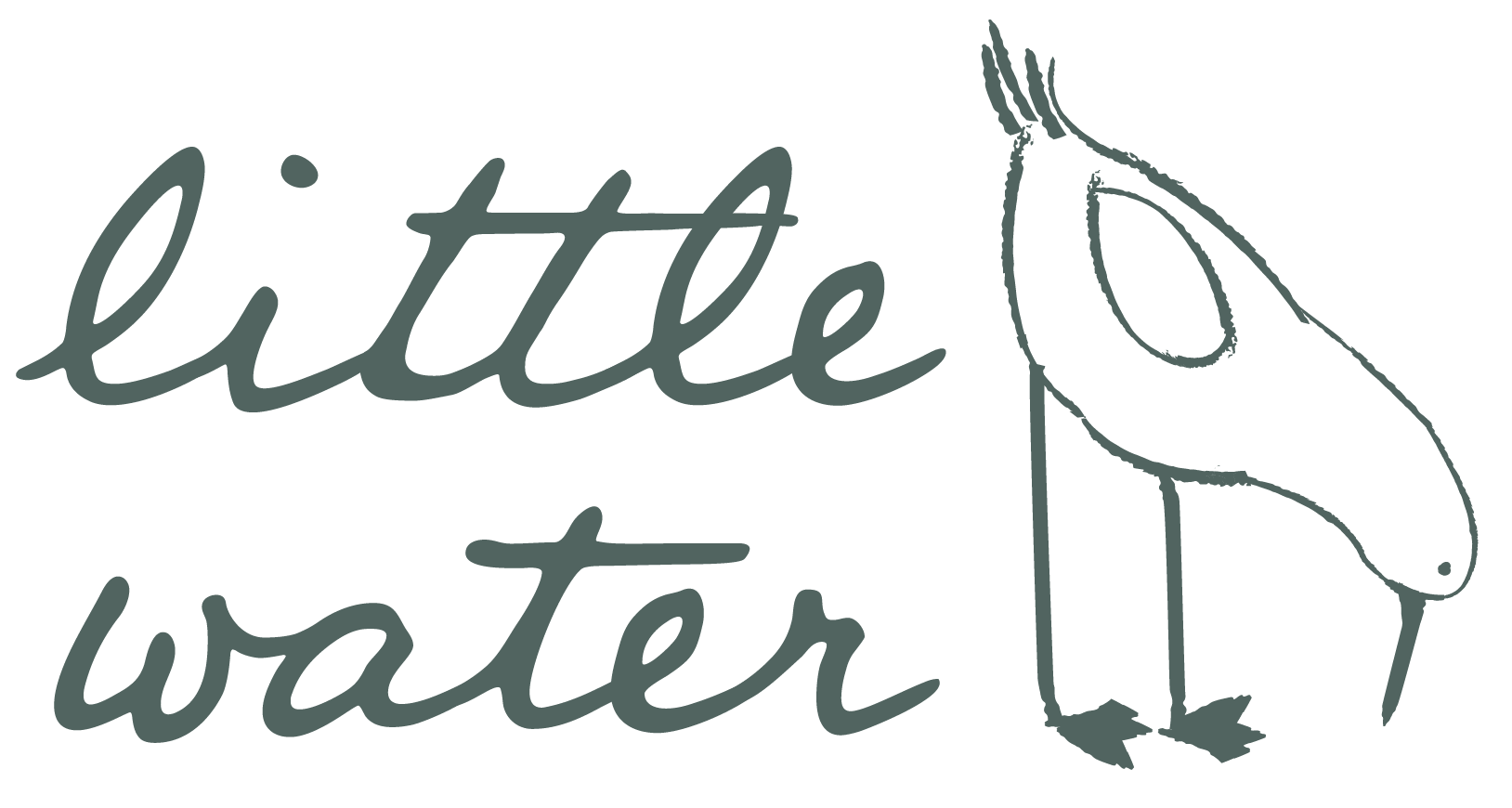 Little Water