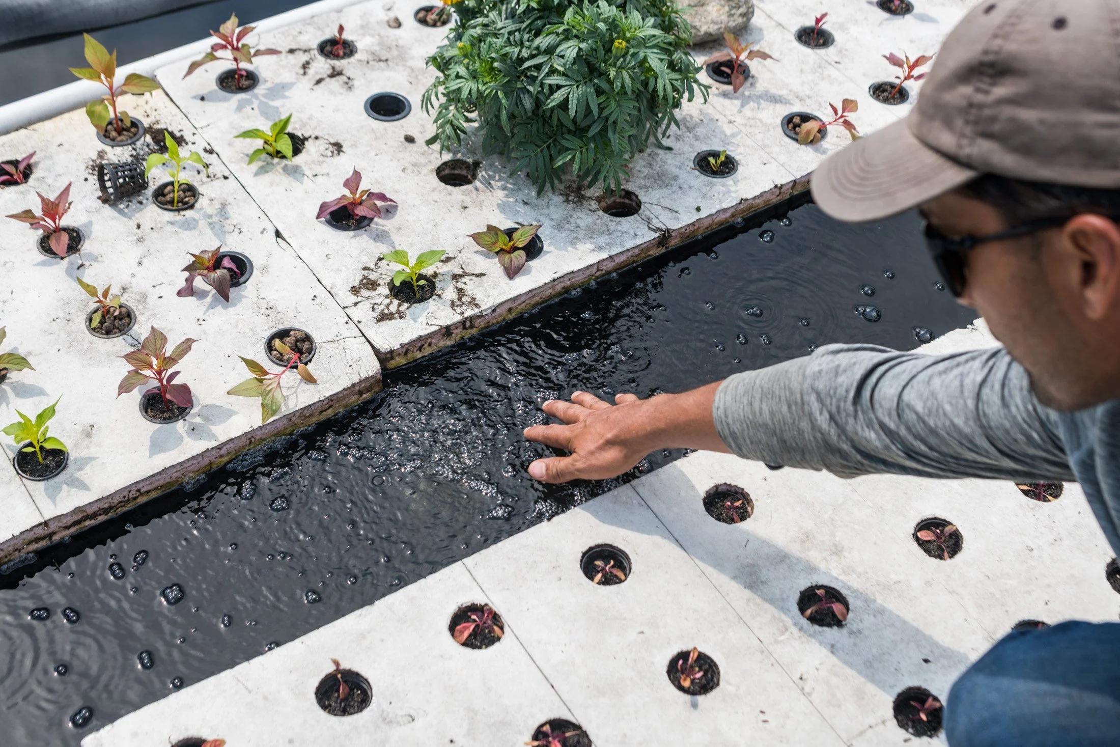 Appointments 2 — Oko Farms
