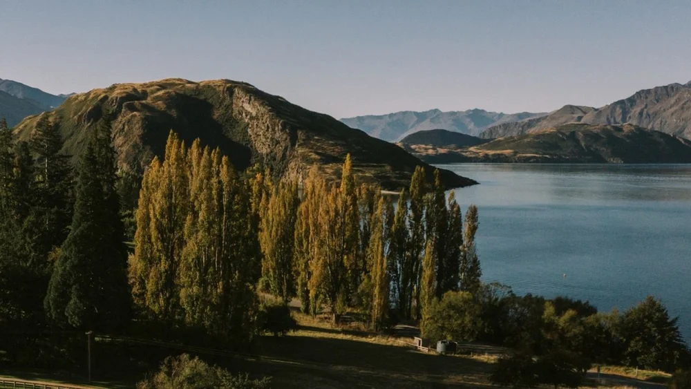About Glendhu Station: History, Land & Building a Legacy — Glendhu ...