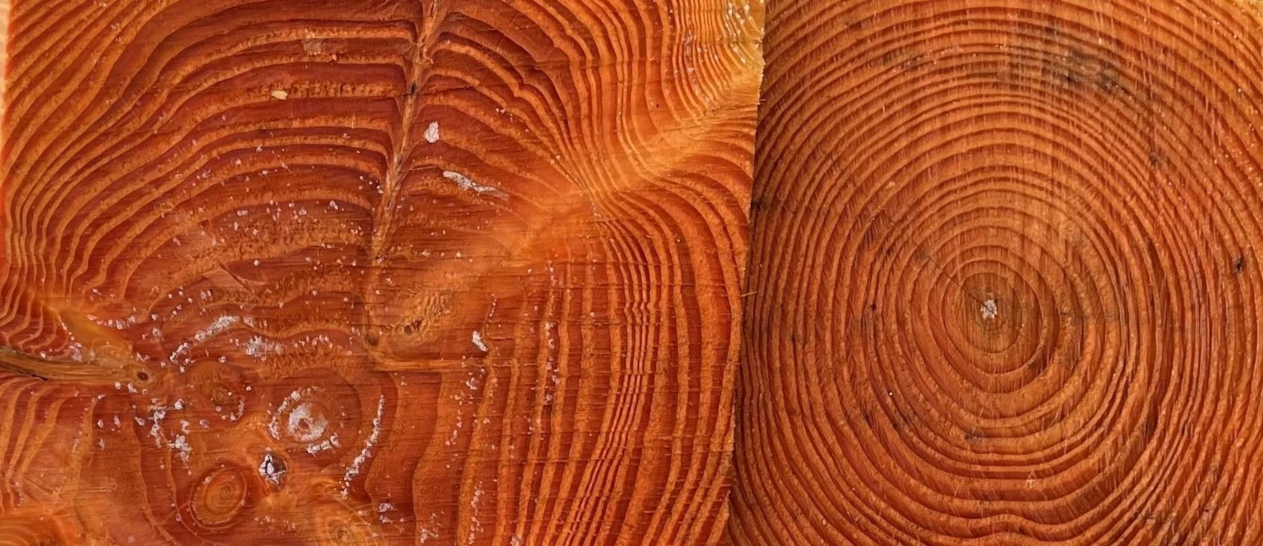 Conygar Timber Company Limited