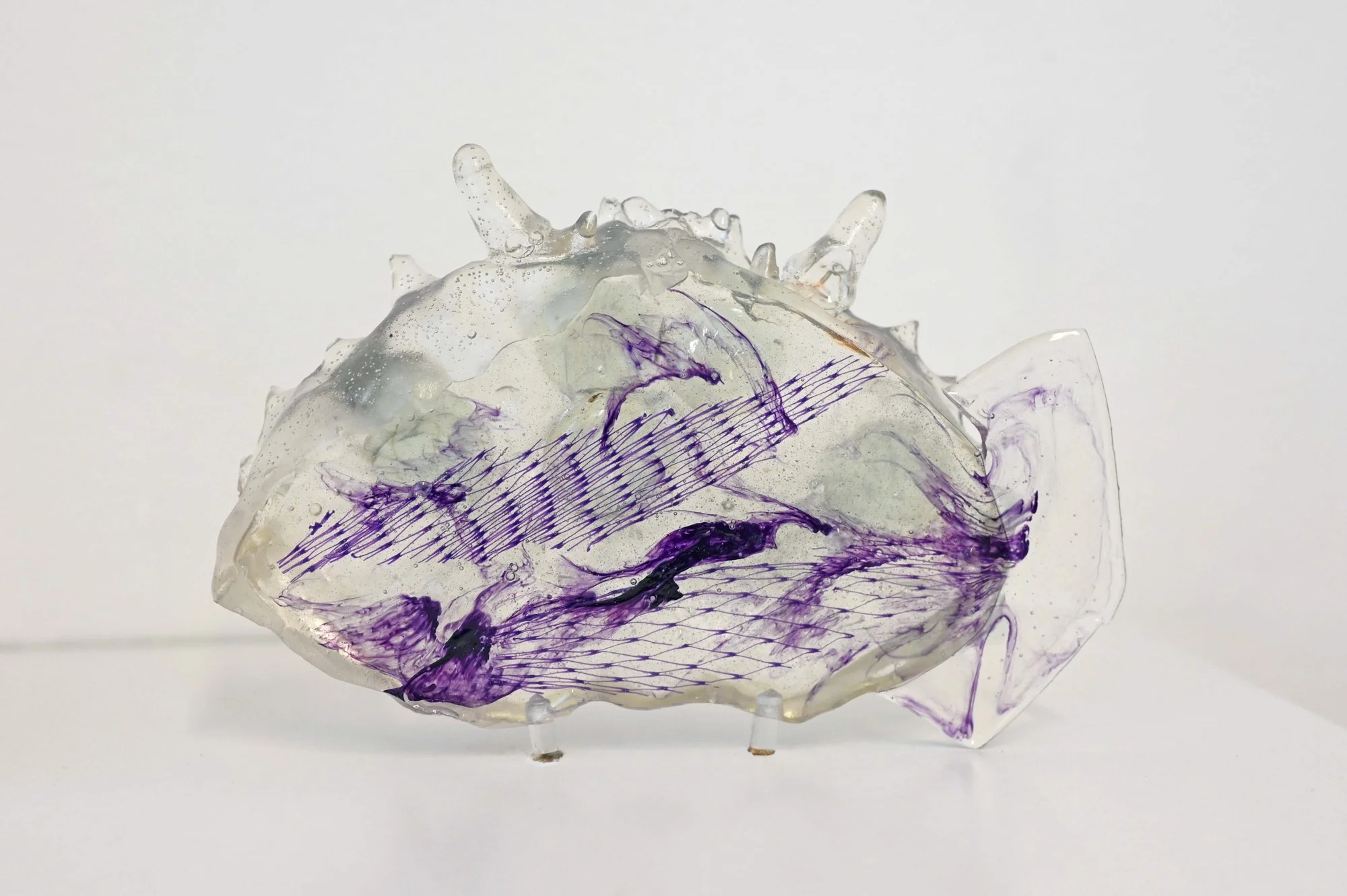 Carapace Pierced, Solo Exhibition by Margaret Pinto — Neptune in June