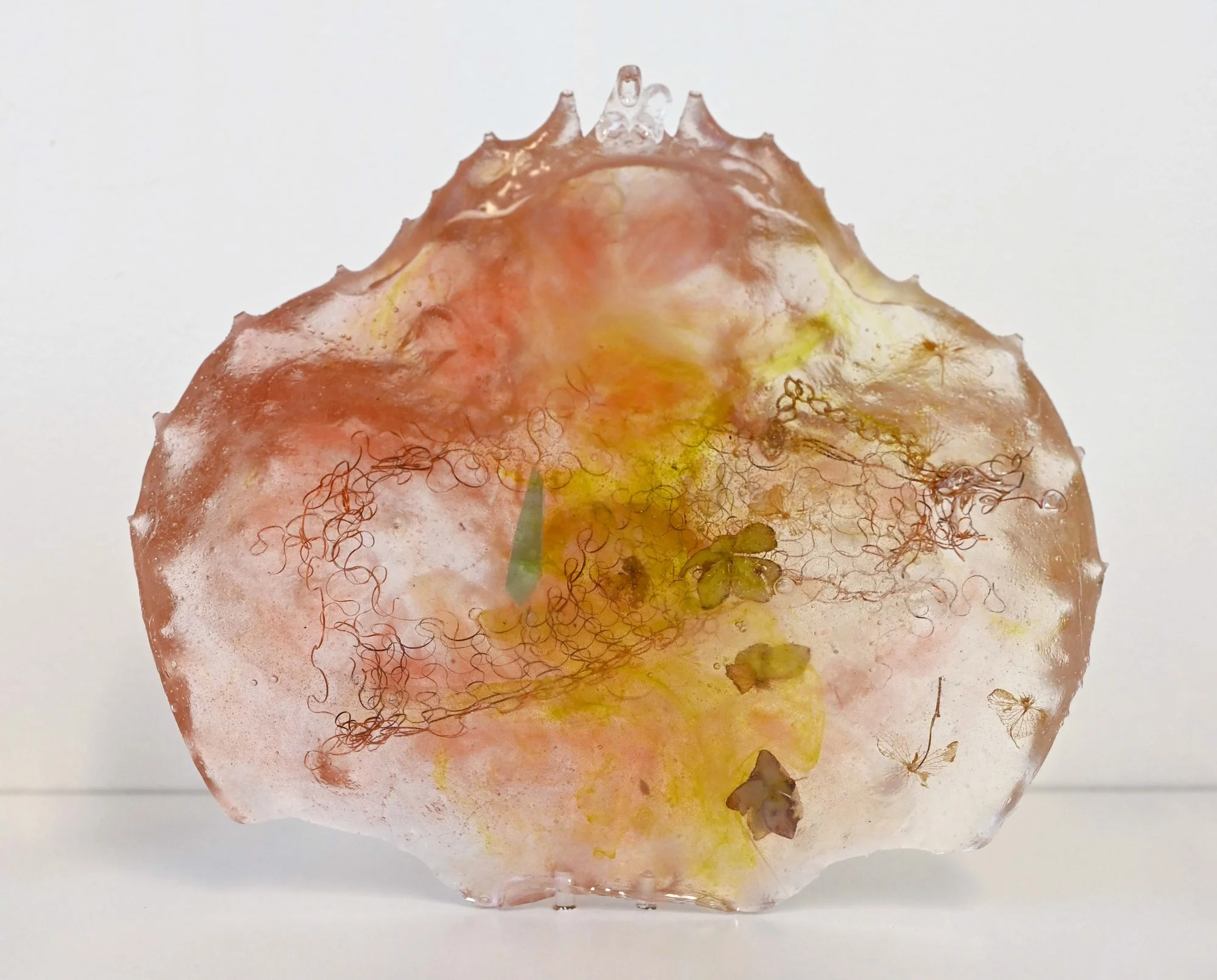 Carapace Pierced, Solo Exhibition by Margaret Pinto — Neptune in June