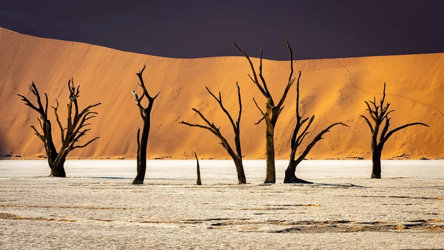Ian Ford Photography | 2024 Wildlife Photographer of the Year Highly ...