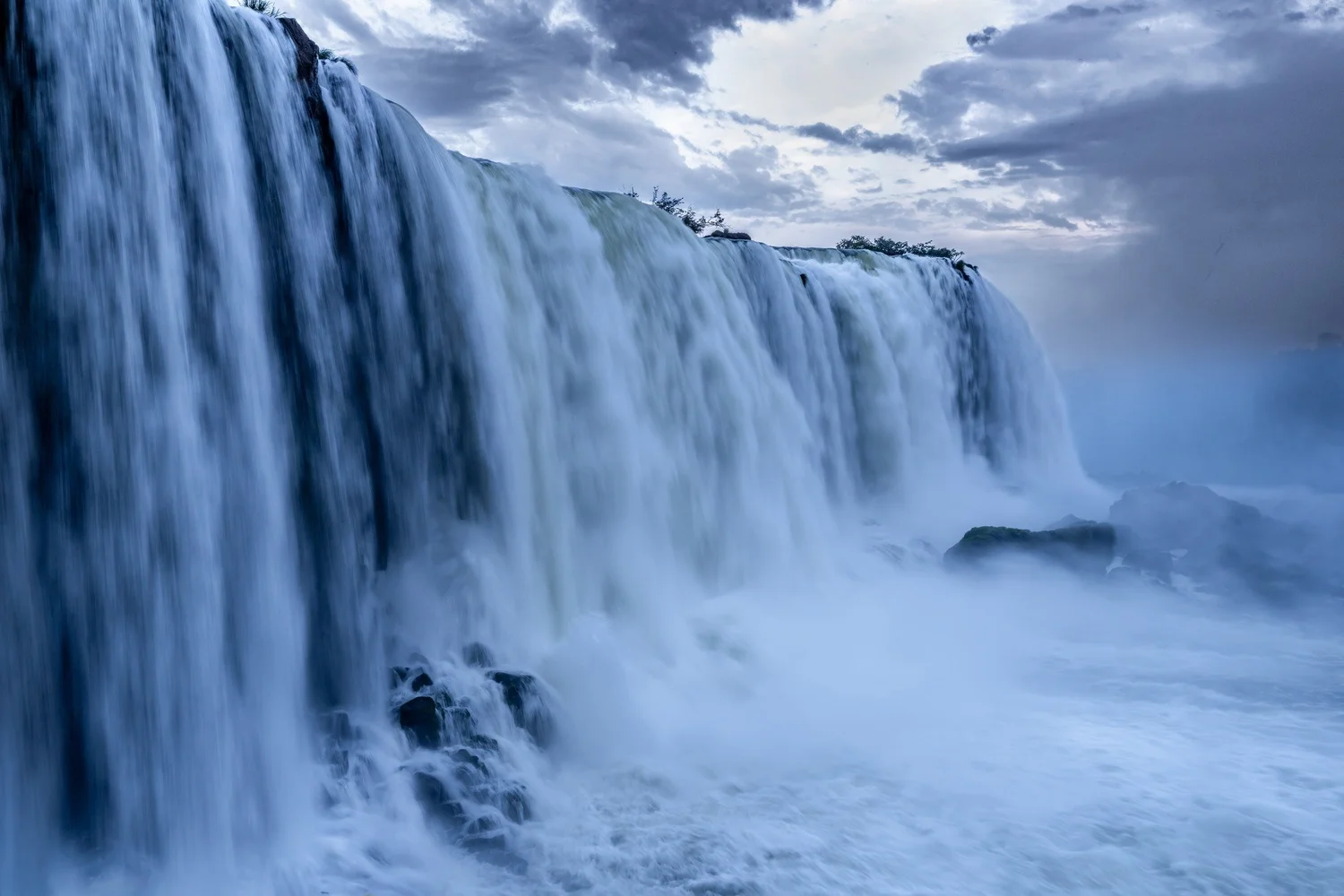 Gallery - Ian Ford Photography | 2024 Wildlife Photographer of the Year ...