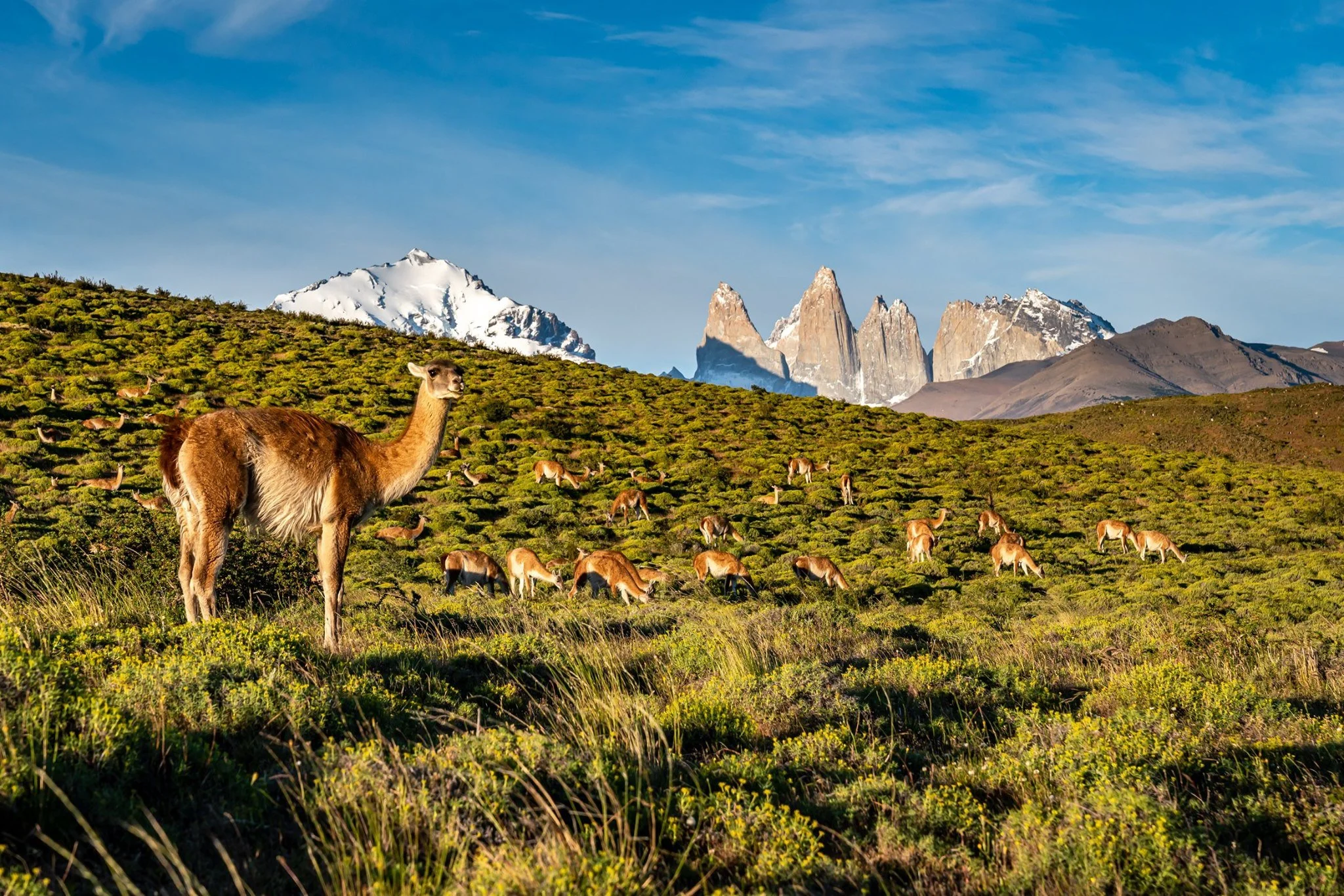 Gallery - Ian Ford Photography | 2024 Wildlife Photographer of the Year ...