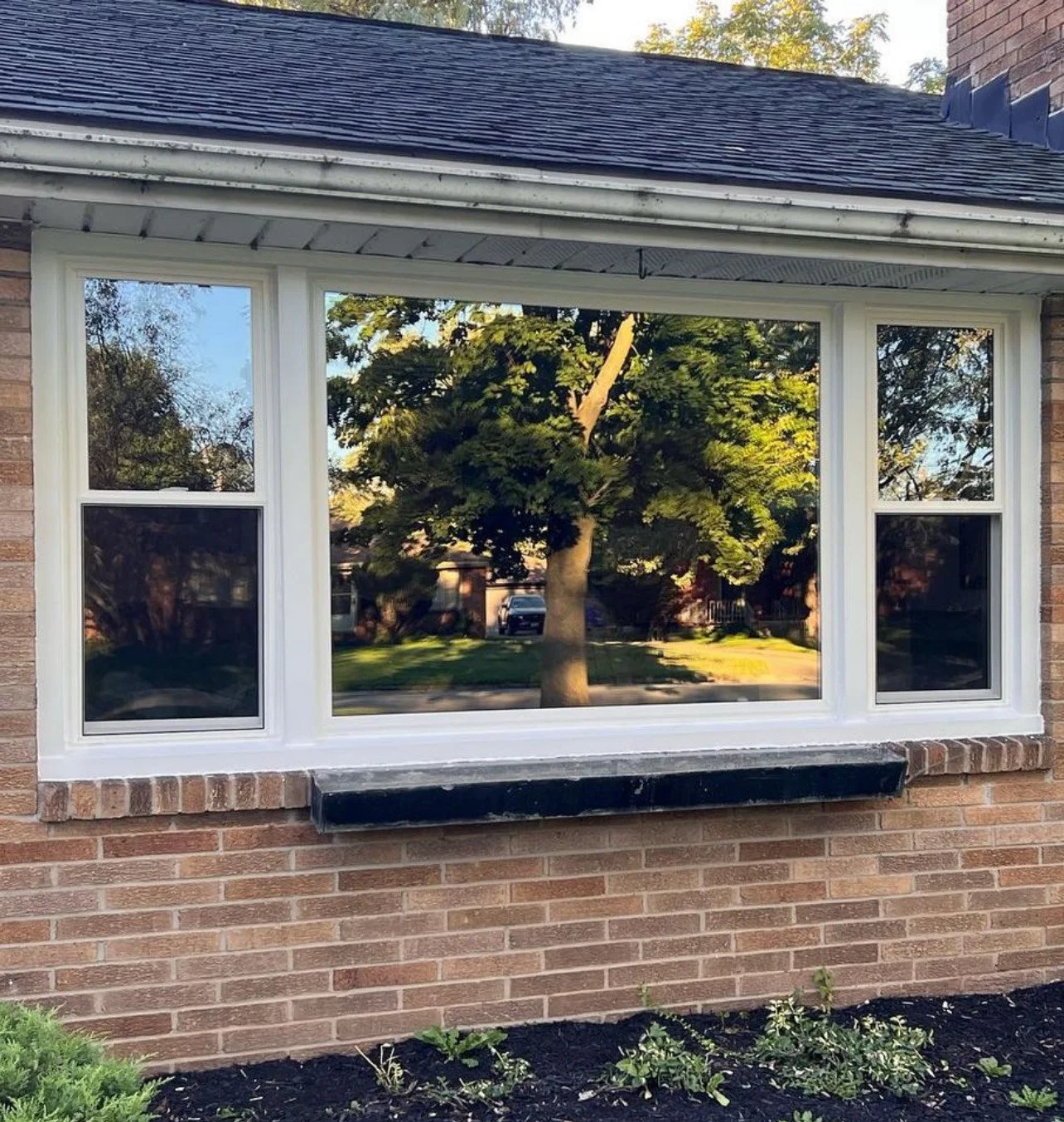 Nu-View Windows