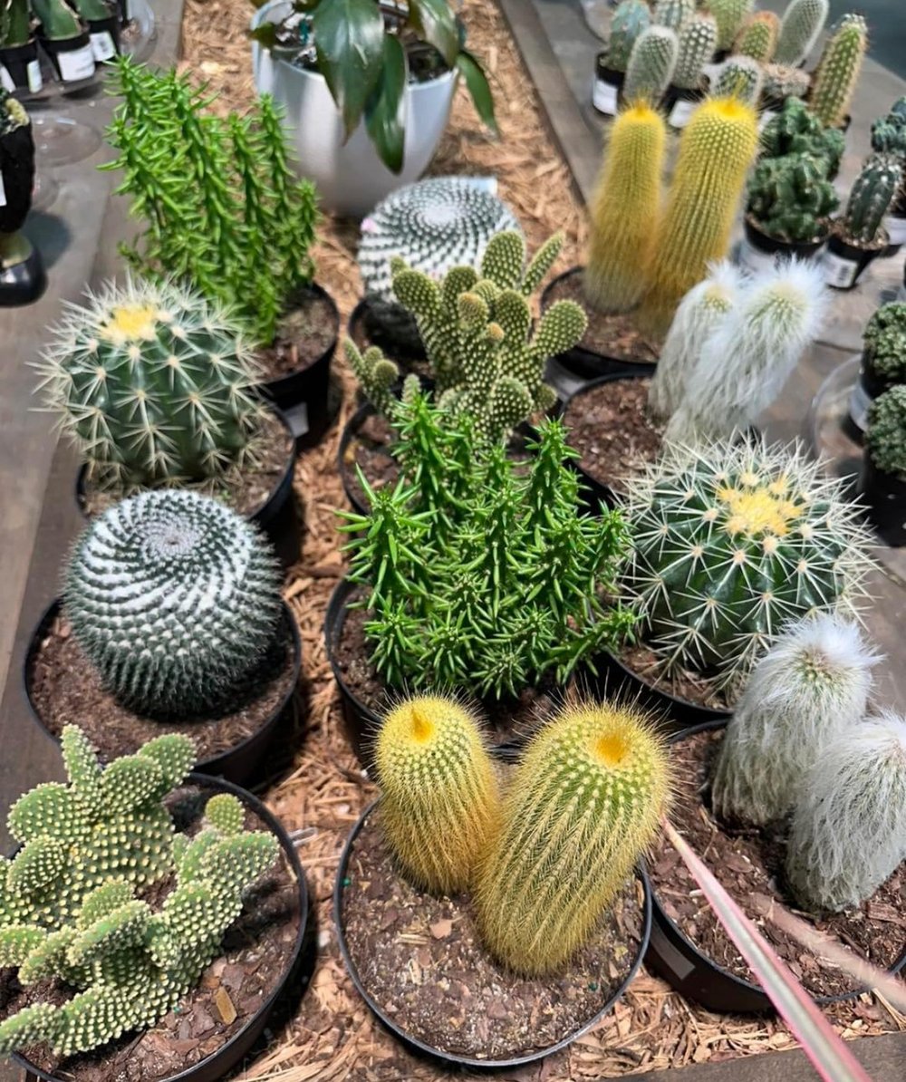 Gallery — Denton Plant Factory