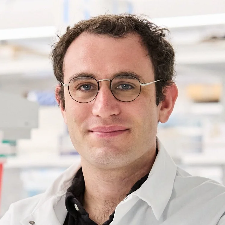 Principal Investigator — Allen Lab