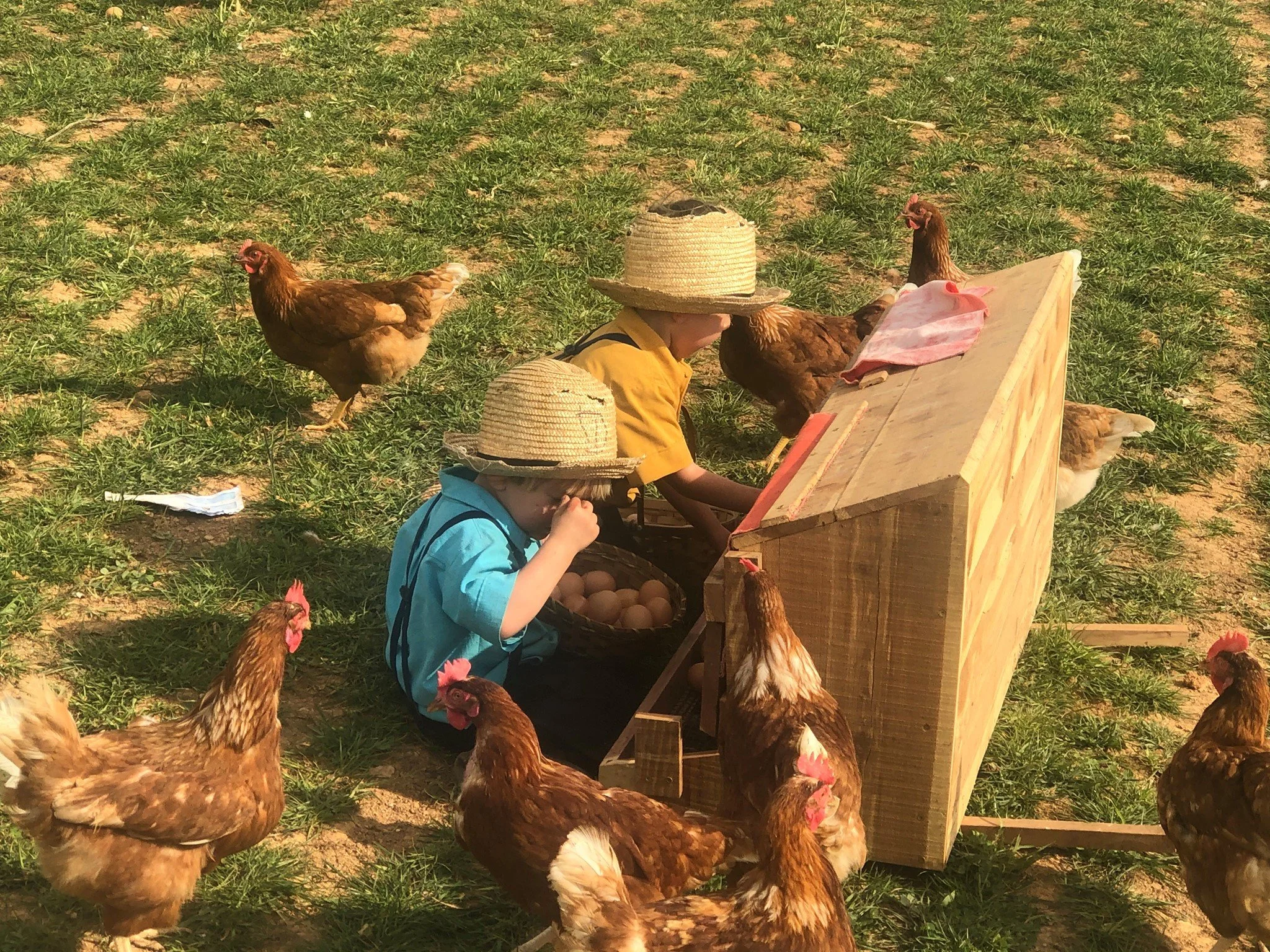 Golden Valley Farms | Fresh Farm Deliveries
