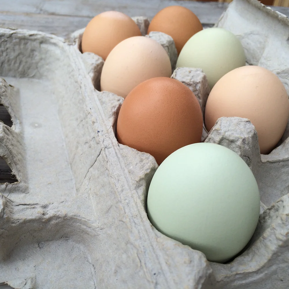 Products | Shop Fresh Today — Golden Valley Farms