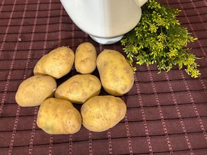 Products | Shop Fresh Today — Golden Valley Farms