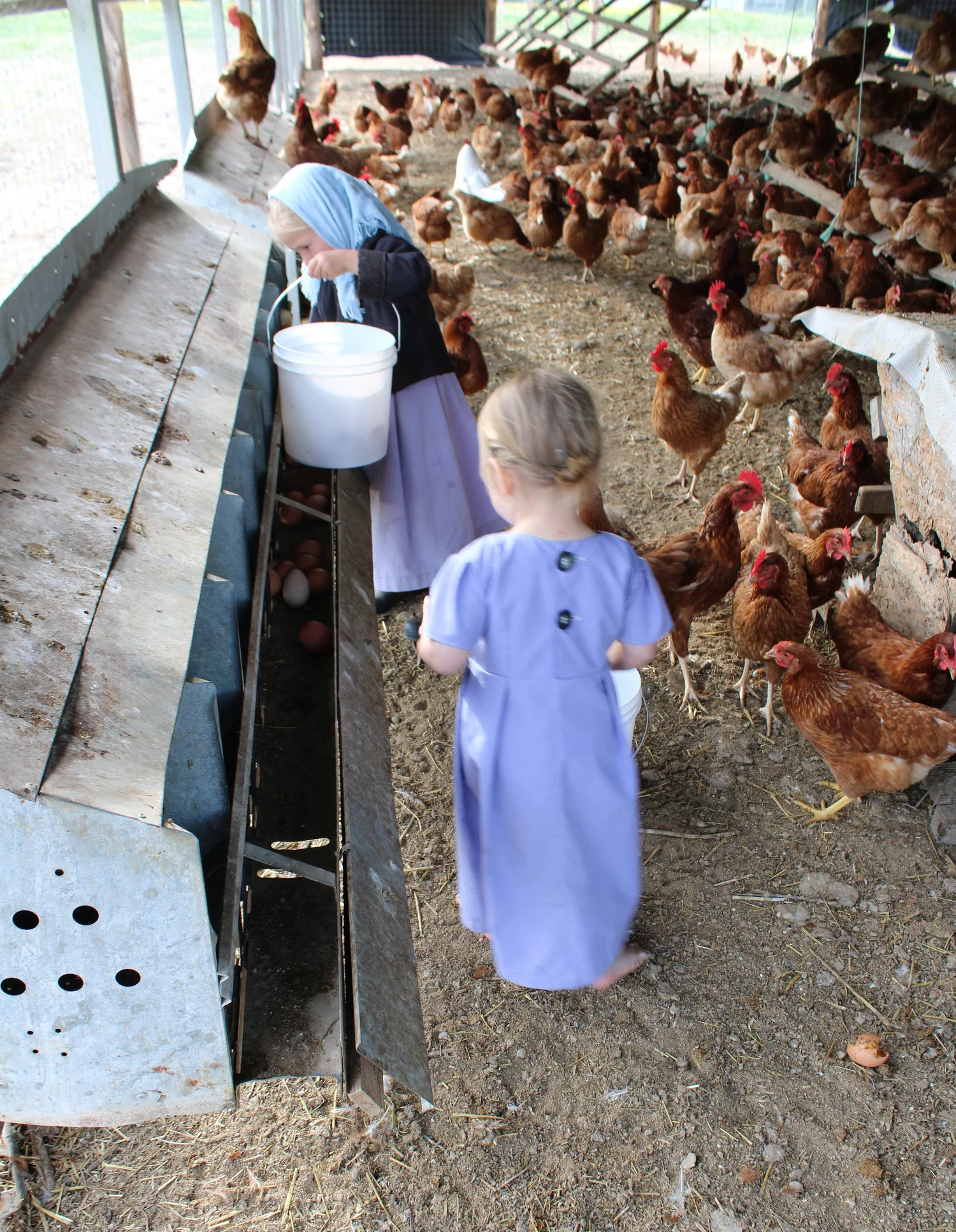 Golden Valley Farms | Fresh Farm Deliveries